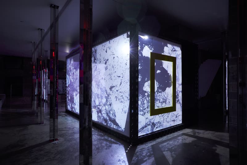 National Geographic Immersive Installation at HBX | Hypebeast