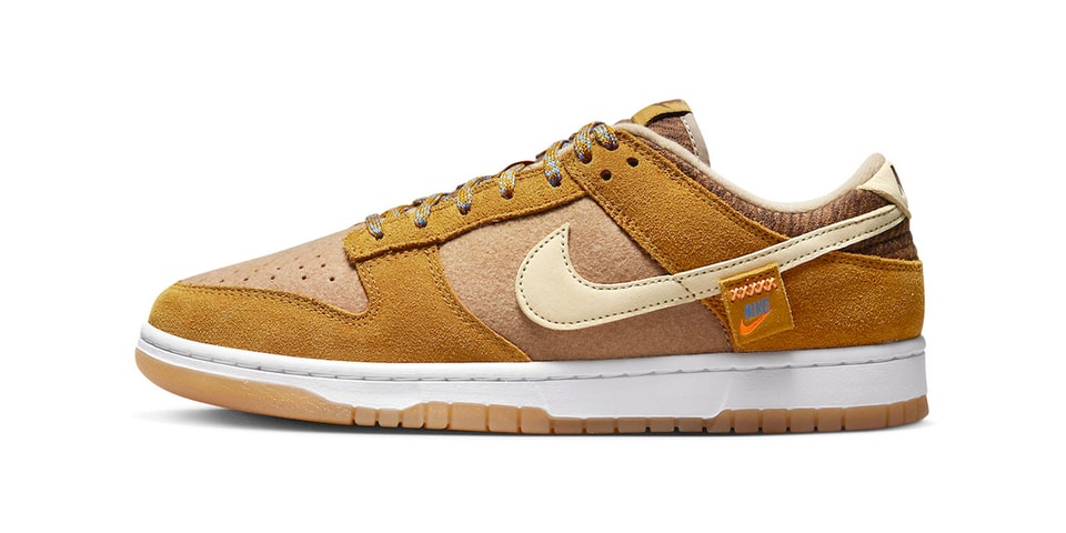 Official Look at the Nike Dunk Low "Teddy Bear" | Hypebeast