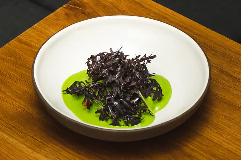 Shake Shack x Enrique Olvera Menu Announcement | Hypebeast