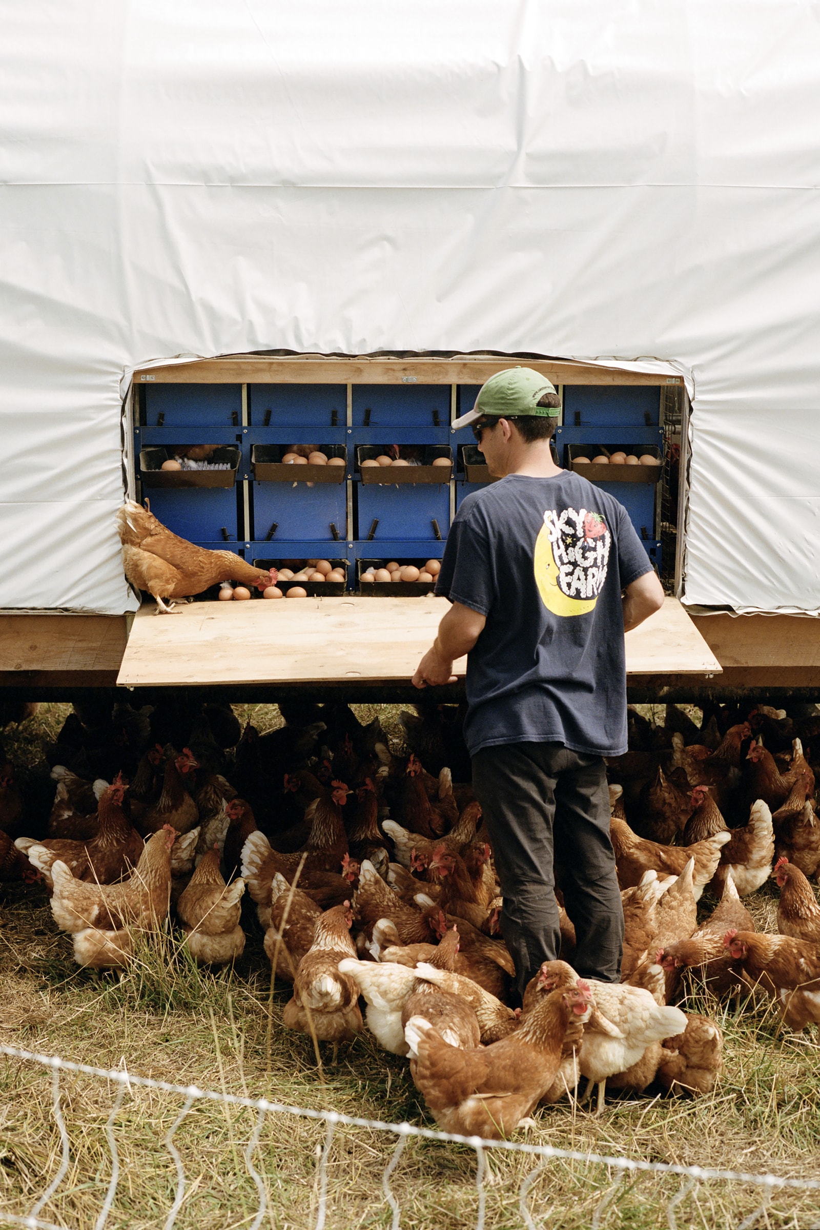 Dan Colen on Life at Sky High Farm Interview | Hypebeast