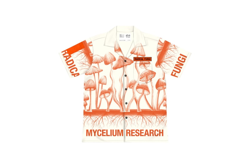 Space Available's 'Radical Fungi' Collection Promotes the Power of ...