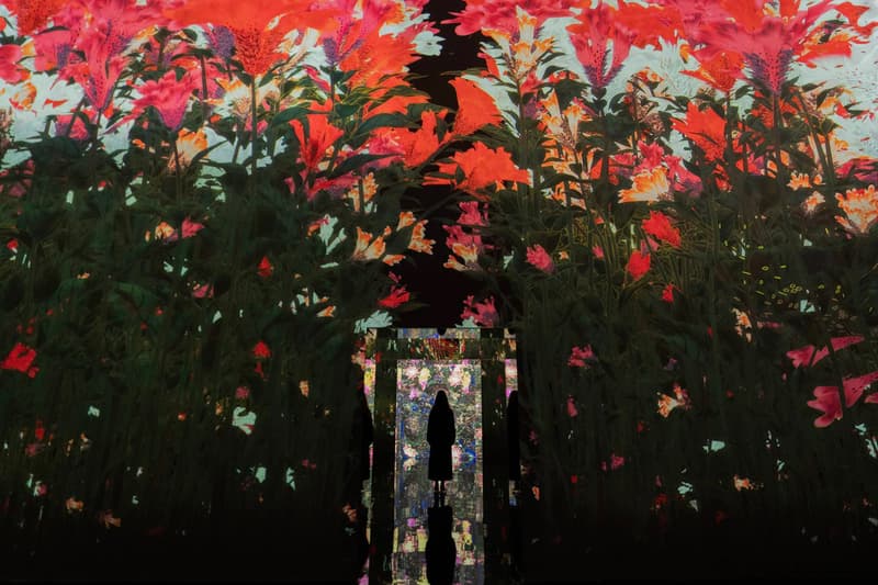 teamLab 'Massless' Beijing Art Installation China | Hypeart