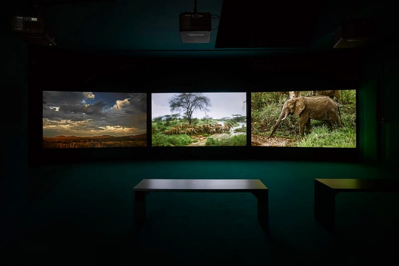 John Akomfrah Great Britain 2024 Venice Biennale | Hypebeast