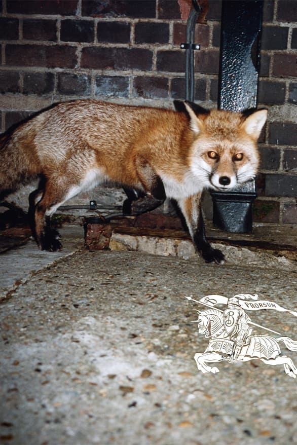 Burberry Reveals New Logo and Campaign Under Daniel Lee | Hypebeast