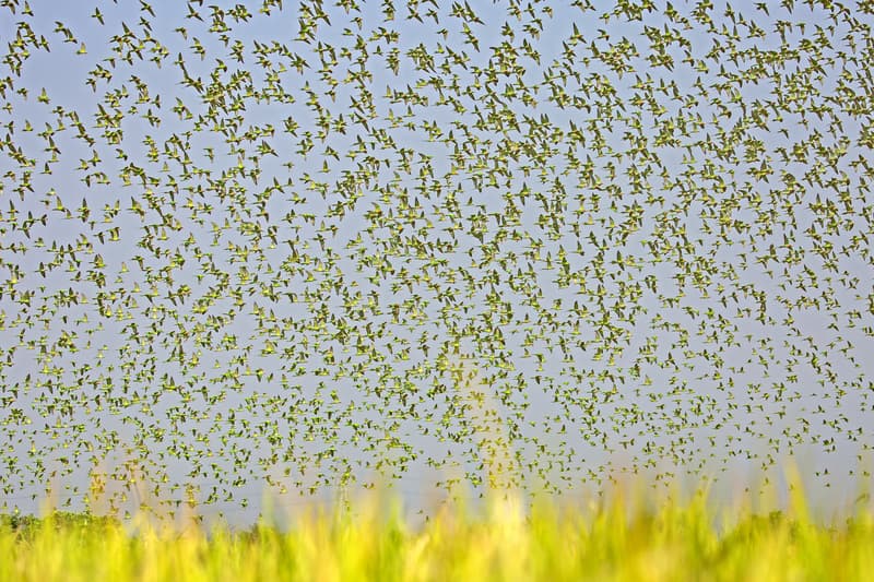 Sony World Photography Awards 2023 Competition | Hypebeast