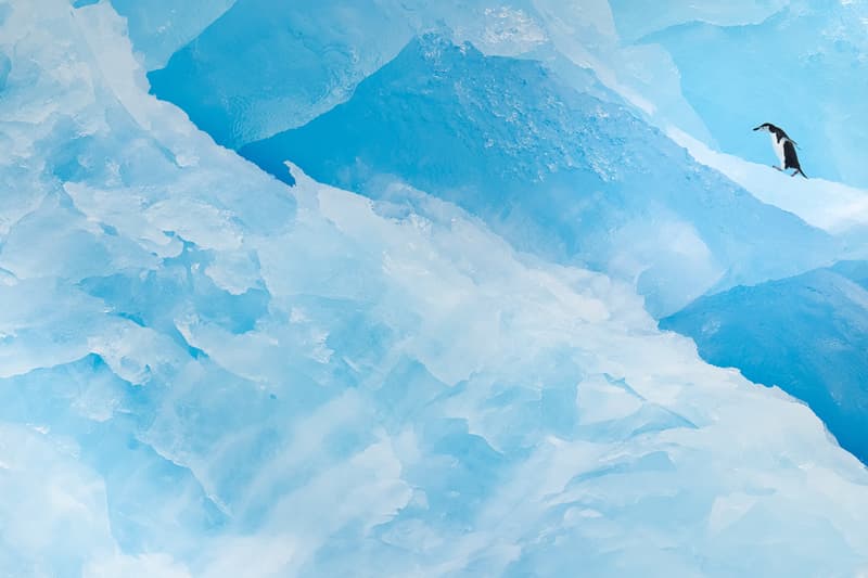 Sony World Photography Awards 2023 Competition | Hypebeast