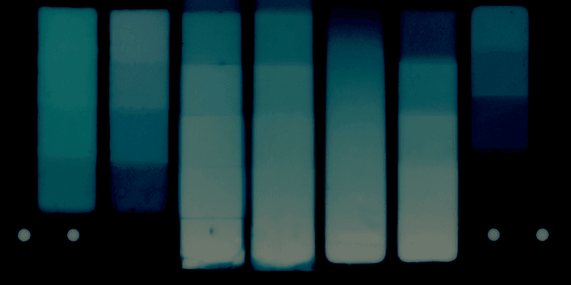 Through the Lens: Polaroid Reclaimed Blue 600 Film | Hypebeast