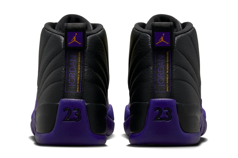 Air Jordan 12 Field Purple CT8013-057 Release Date | Hypebeast