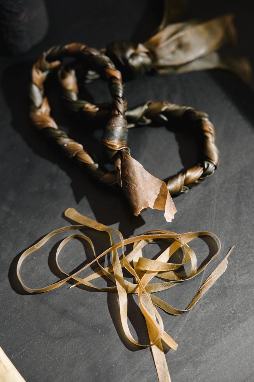 Can Seaweed Become the Future of Sustainable Fashion? | Hypebeast