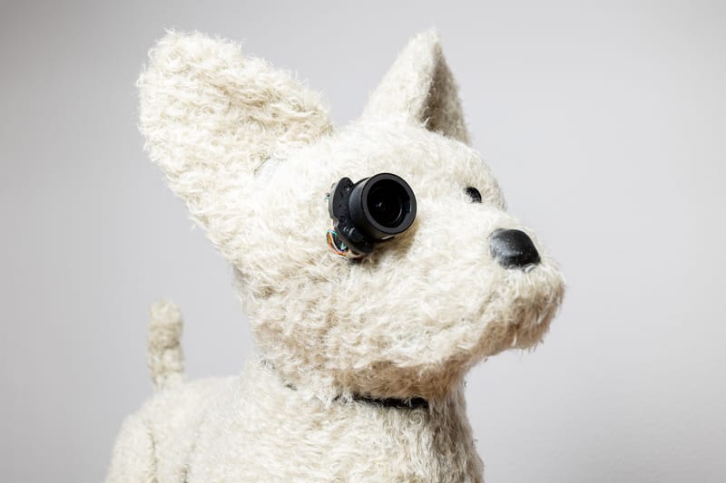 Mario Klingemann A.I.C.C.A. at Coleccion SOLO | Hypebeast