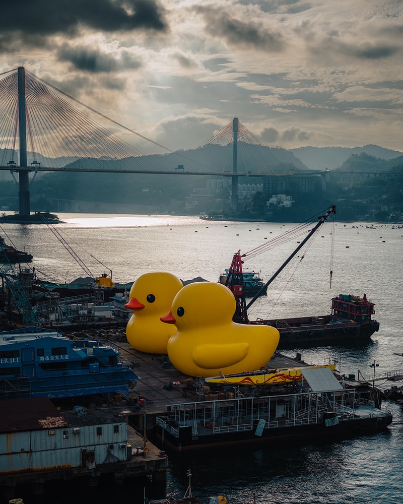 Florentijn Hofman's Giant Rubber Ducks Return to Hong Kong | Hypebeast