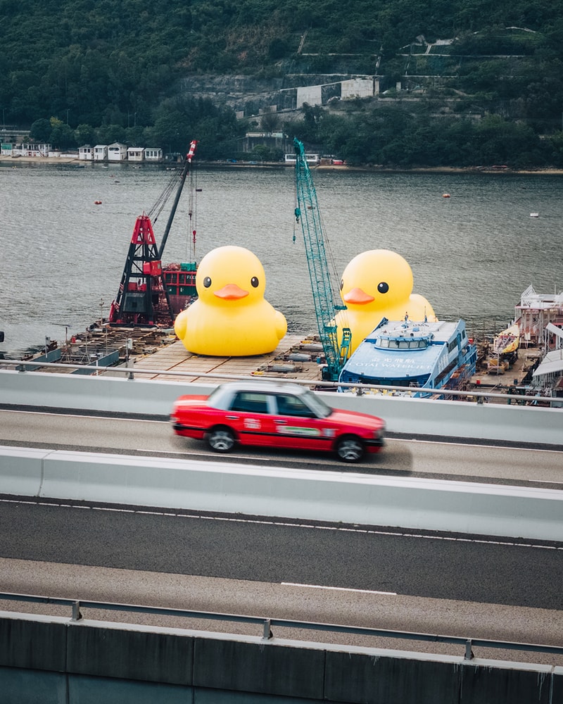 Florentijn Hofman's Giant Rubber Ducks Return to Hong Kong | Hypebeast