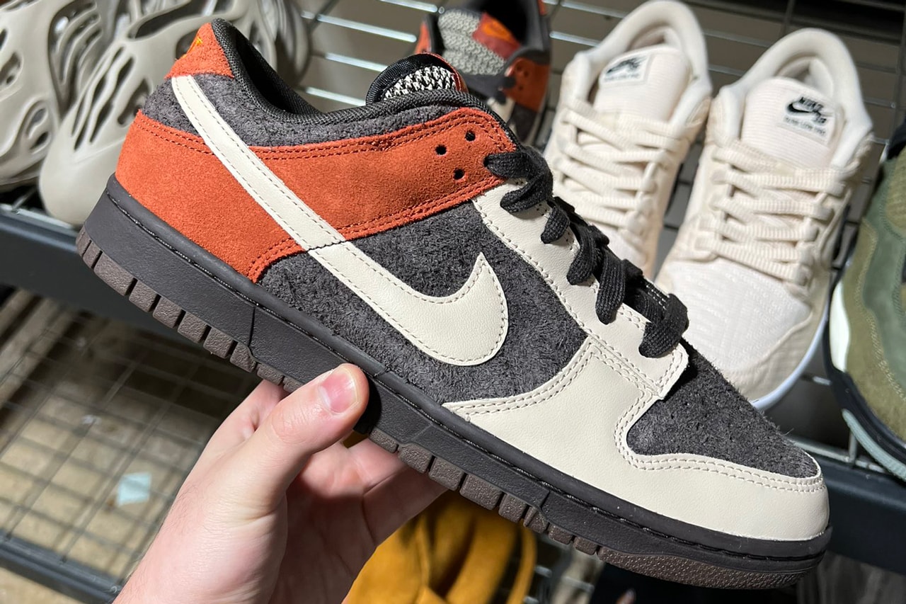 A look at the Nike Dunk Low "Red Panda" – Hype Vault