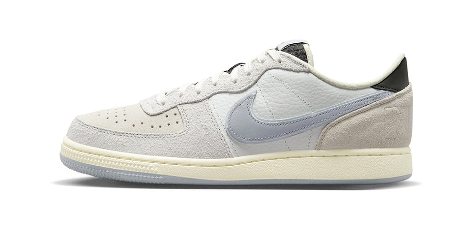 Official Look at the Nike Terminator Low "Liberté" | Hypebeast