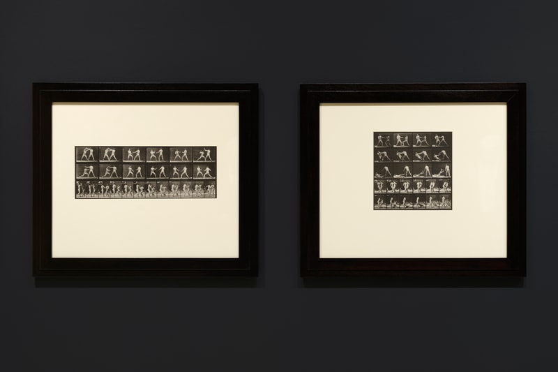 "Strike Fast, Dance Lightly: Artists on Boxing" | Hypebeast