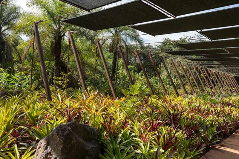 Instituto Inhotim Yayoi Kusama Gallery Brazil Art | Hypebeast