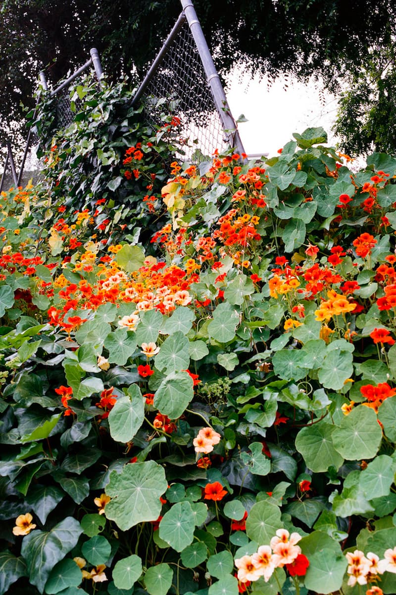 Shaniqwa Jarvis Everywhere You Go There You Are | Hypeart