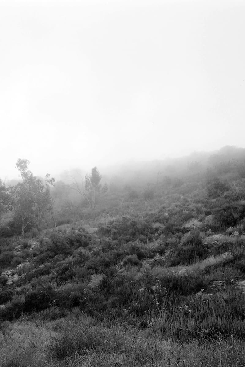 Shaniqwa Jarvis Everywhere You Go There You Are | Hypebeast