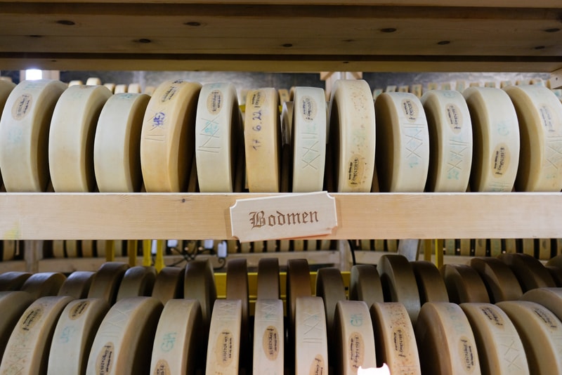 Cooper Wild Life Exhibition Maddox Gallery Gstaad | Hypebeast