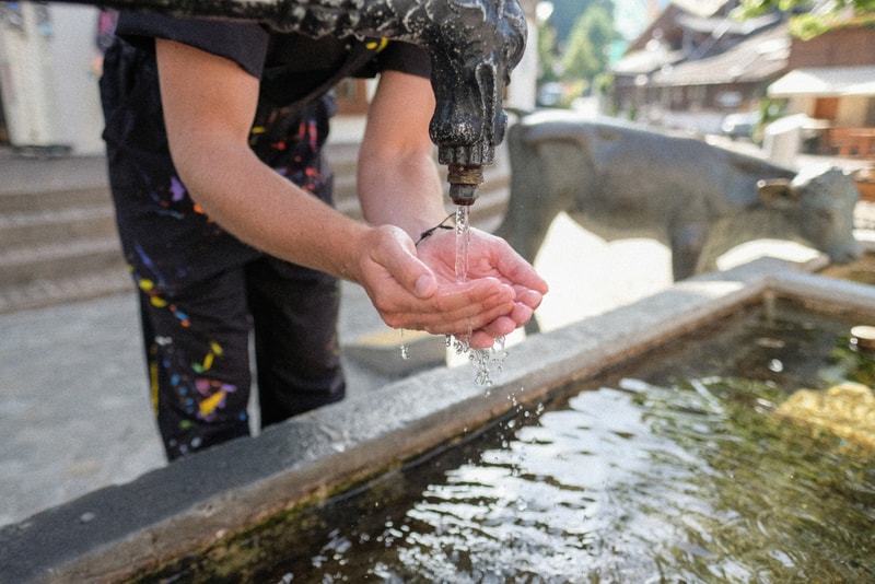 Cooper Wild Life Exhibition Maddox Gallery Gstaad | Hypebeast