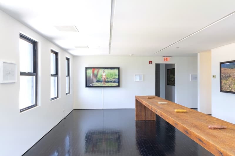 Regina José Galindo at The Watermill Center | Hypeart