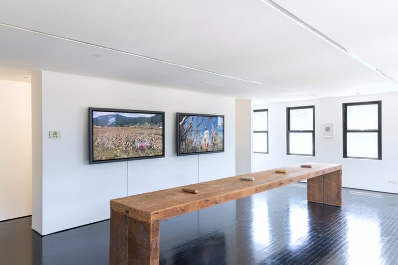 Regina José Galindo at The Watermill Center | Hypeart