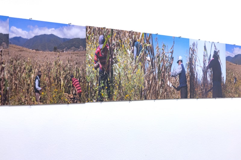 Regina José Galindo at The Watermill Center | Hypebeast