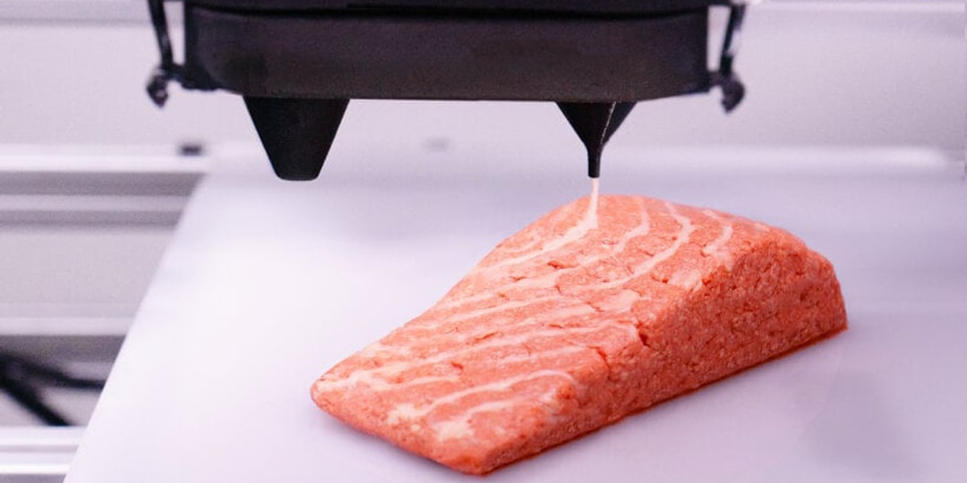 You Can Now Purchase 3D-Printed Salmon | Hypebeast