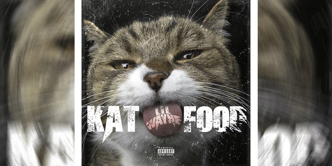 Lil Wayne Samples Missy Elliot on "Kat Food" | Hypebeast
