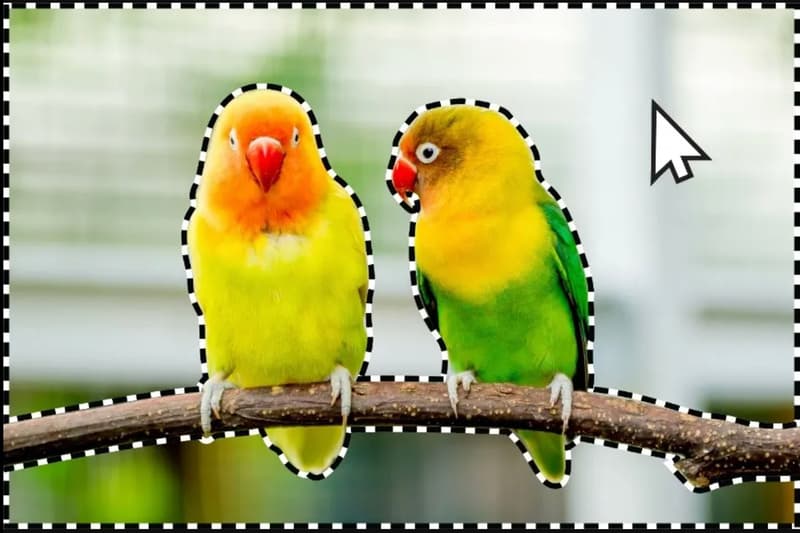 Adobe Unveils New AI-Powered Tools for Photoshop and Premiere | Hypebeast