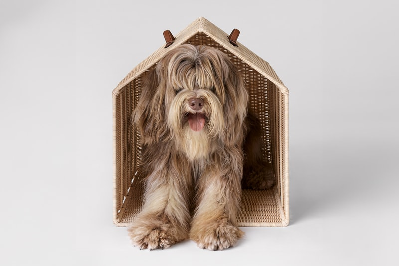 Celine Dog Accessories Campaign, Release Info | Hypebeast