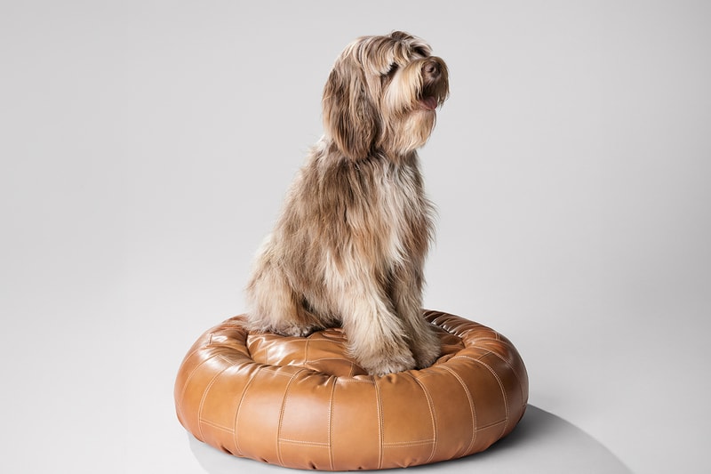 Celine Dog Accessories Campaign, Release Info | Hypebeast