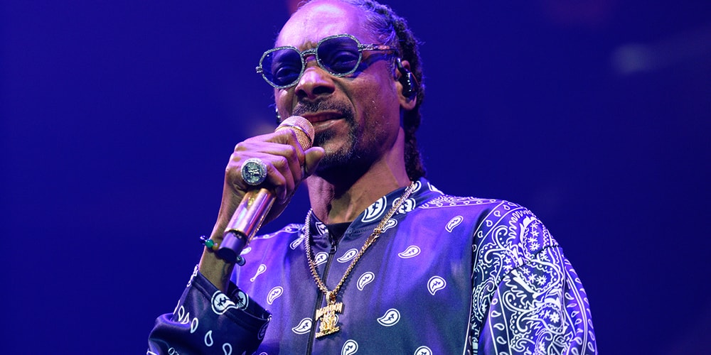 Solo Stove CEO Resigns Following Snoop Dogg "Giving Up Smoke" Campaign ...