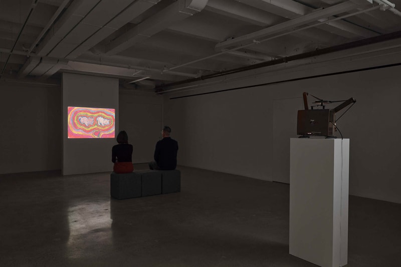 Oliver Beer Resonance Paintings Cat Orchestra Almine Rech | Hypebeast