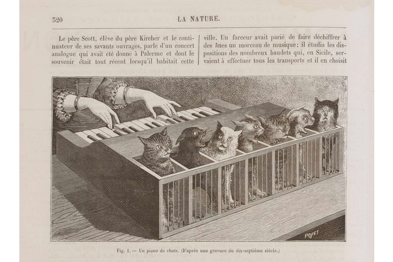 Oliver Beer Resonance Paintings Cat Orchestra Almine Rech | Hypebeast