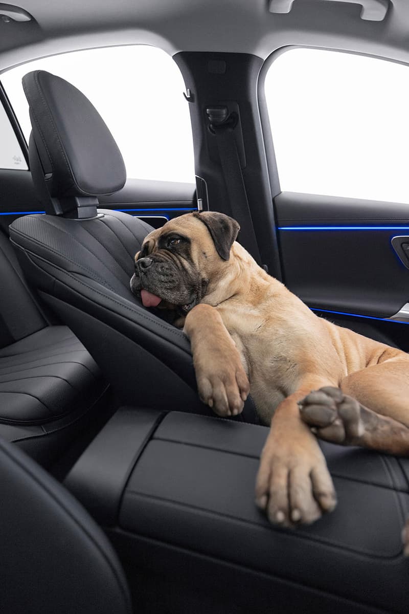 Mercedes Benz MBUX Bark Assist Feature Release | Hypebeast