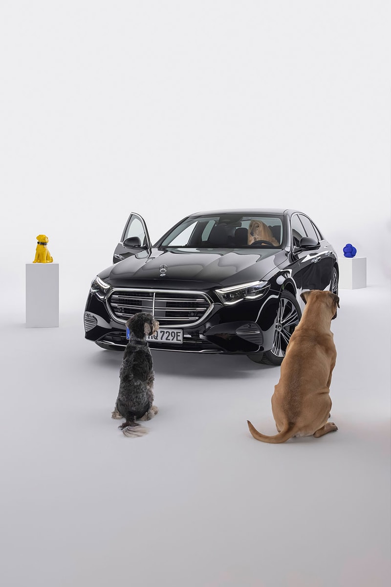 Mercedes Benz MBUX Bark Assist Feature Release | Hypebeast