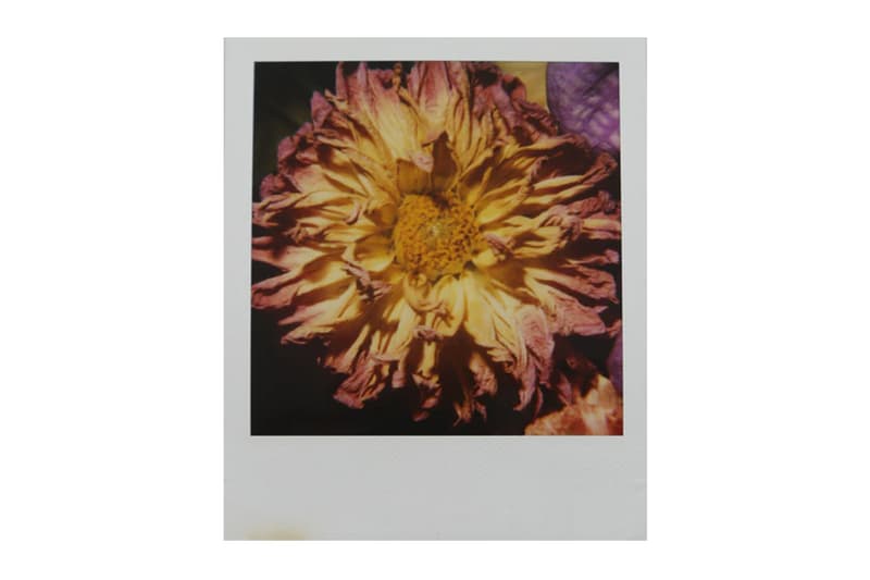 Nobuyoshi Araki 'Paradise' HK Pop-Up Exhibition | Hypeart