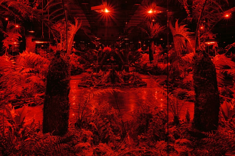 Julian Charrière Panchronic Garden Perrotin Exhibition | Hypebeast