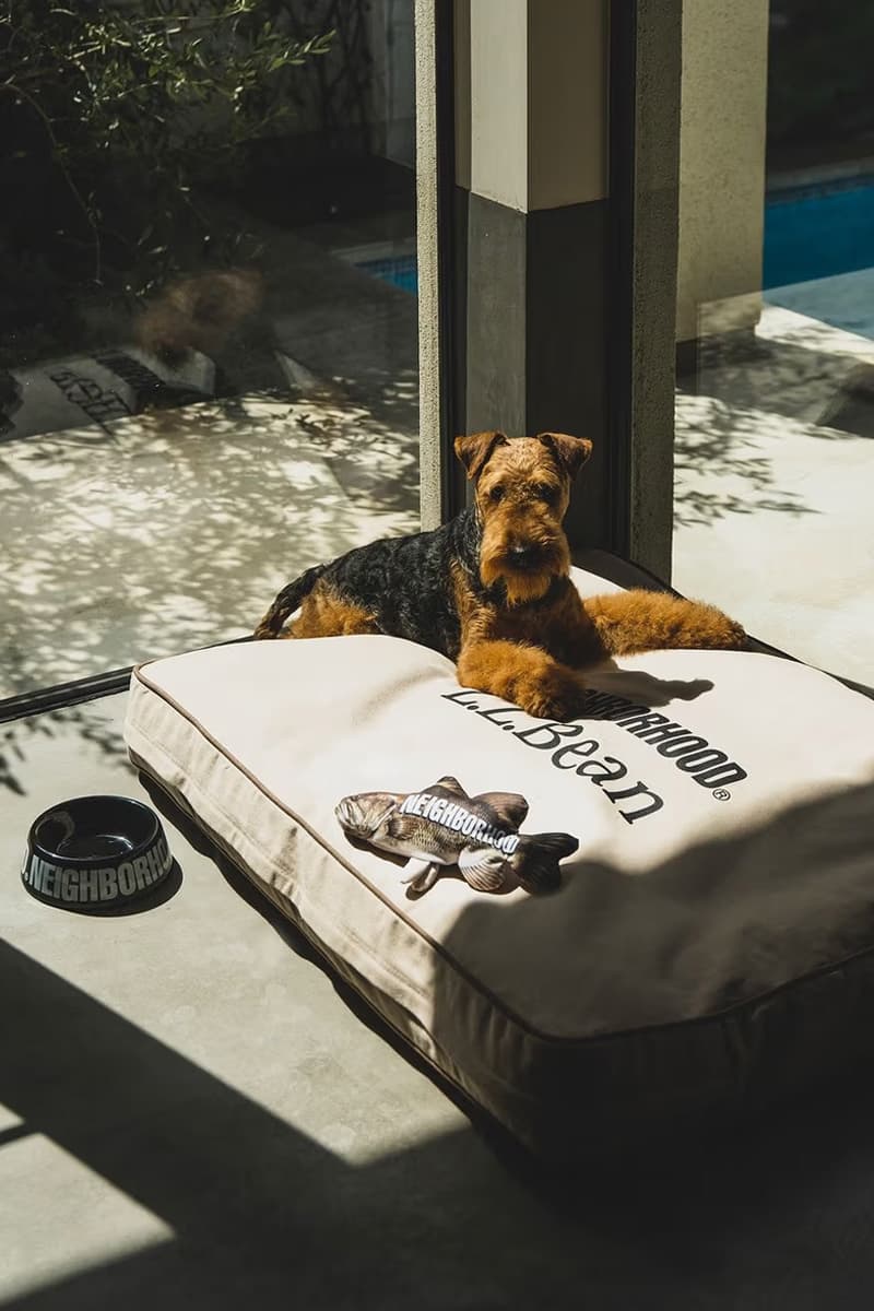 NEIGHBORHOOD “Dogs” Series Info | Hypebeast