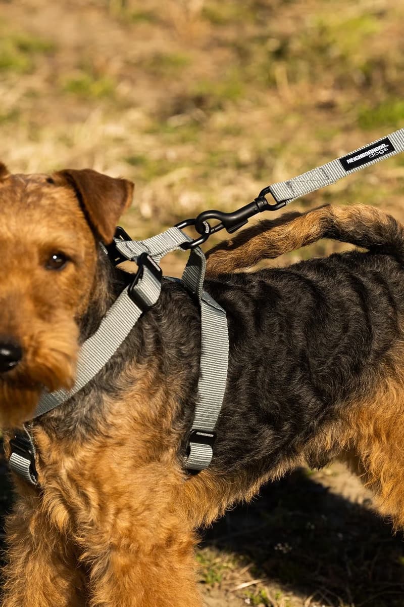 NEIGHBORHOOD “Dogs” Series Info | Hypebeast