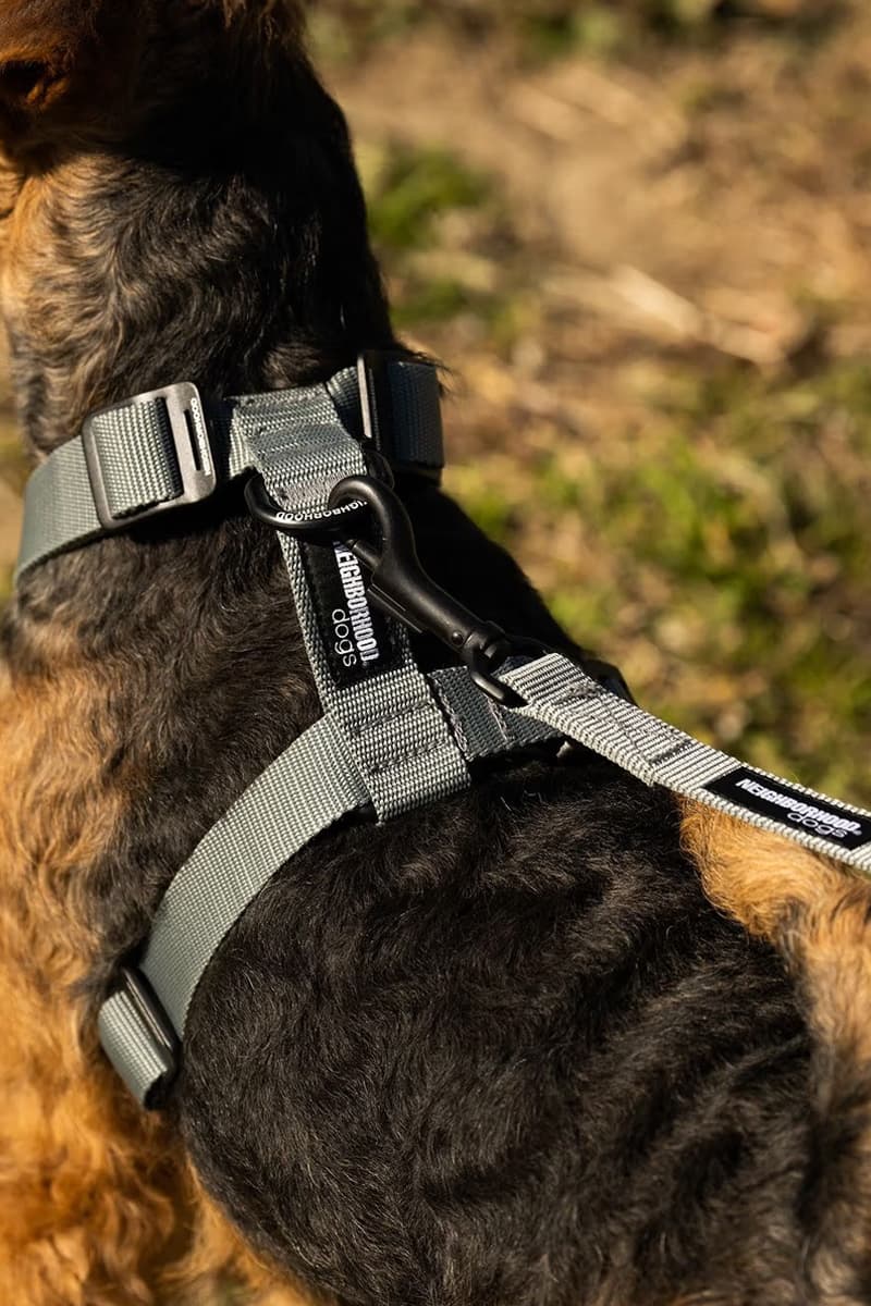 NEIGHBORHOOD “Dogs” Series Info | Hypebeast