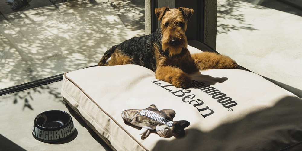 NEIGHBORHOOD “Dogs” Series Info | Hypebeast