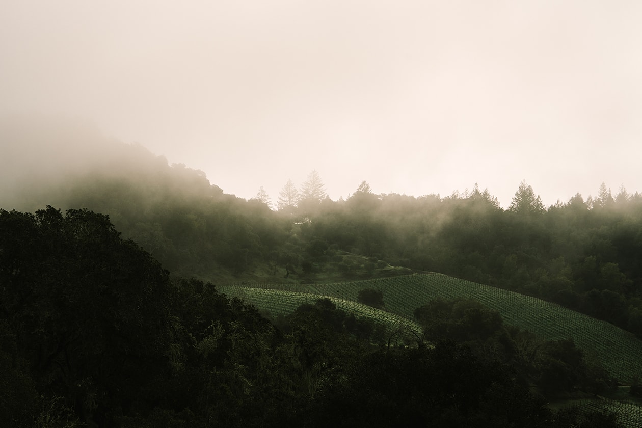 The Mascot 2020 Vintage Red Wine Release Info | Hypebeast