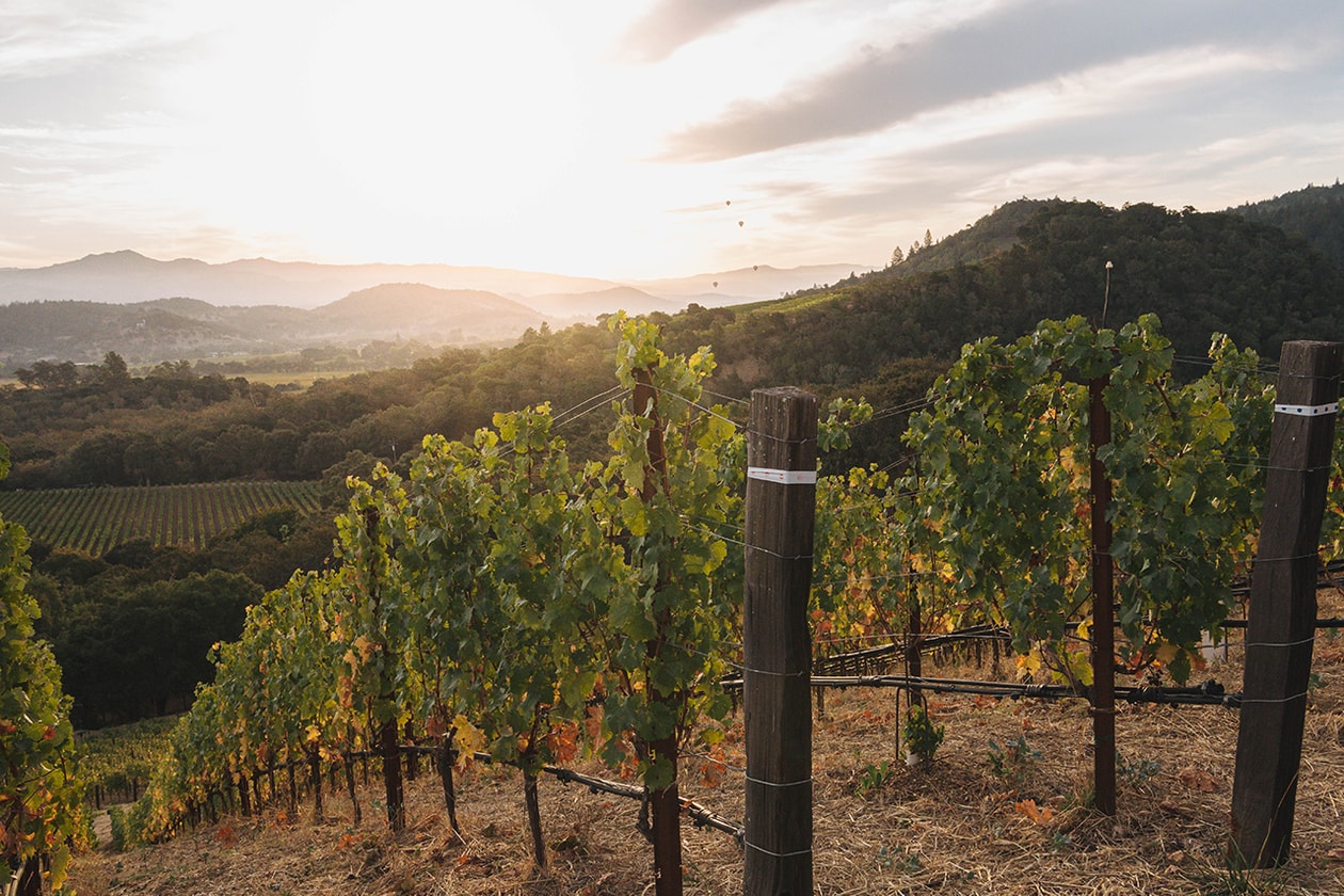 The Mascot 2020 Vintage Red Wine Release Info | Hypebeast