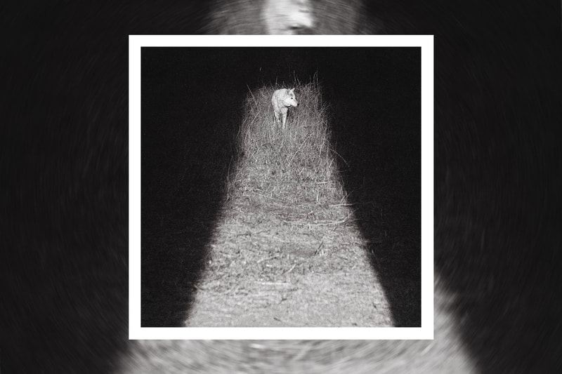 Zacari 'Bliss' Trailer Debut Album Short Film | Hypebeast