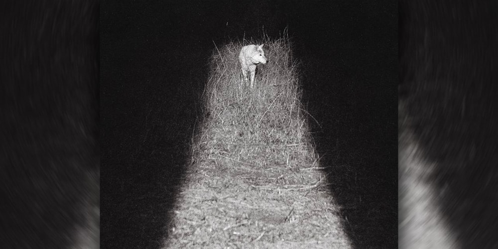 Zacari 'Bliss' Trailer Debut Album Short Film | Hypebeast