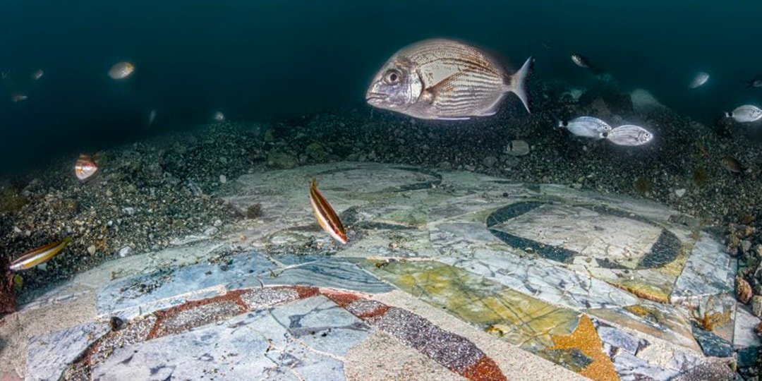 Baiae Ornate Ancient Roman Mosaic Discovery Naples | Hypeart