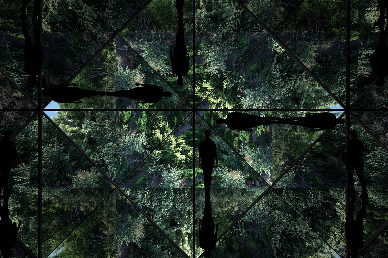 teamLab: Hidden Traces of Rice Terraces Ibaraki | Hypeart