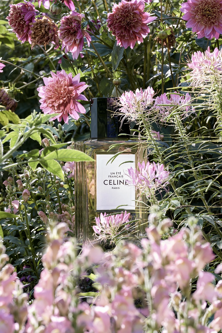 Hedi Slimane Classic French Summer Celine SS25 | Hypebeast